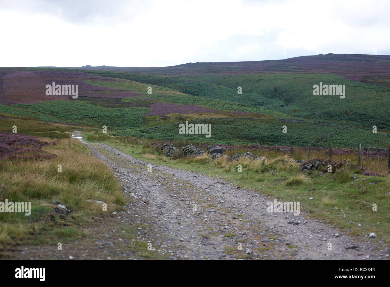 Hills hill direction hi-res stock photography and images - Alamy