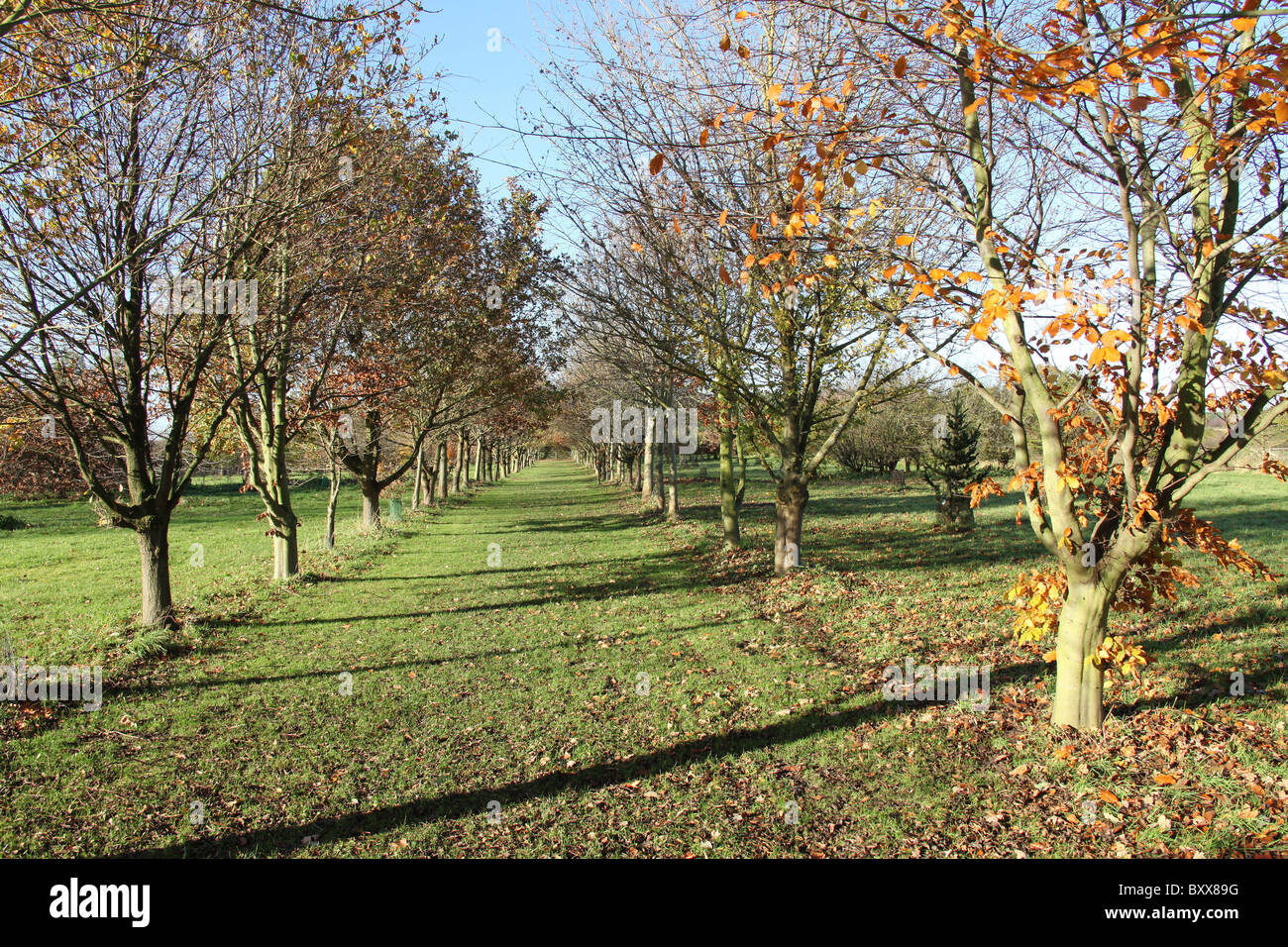 Swettenham cheshire hi-res stock photography and images - Alamy