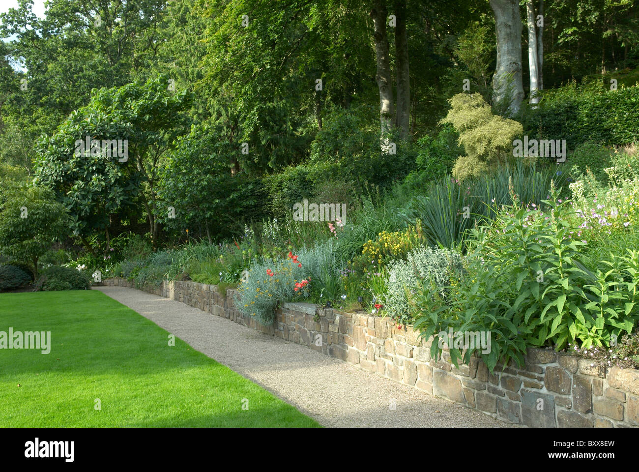 Plant border hi-res stock photography and images - Alamy