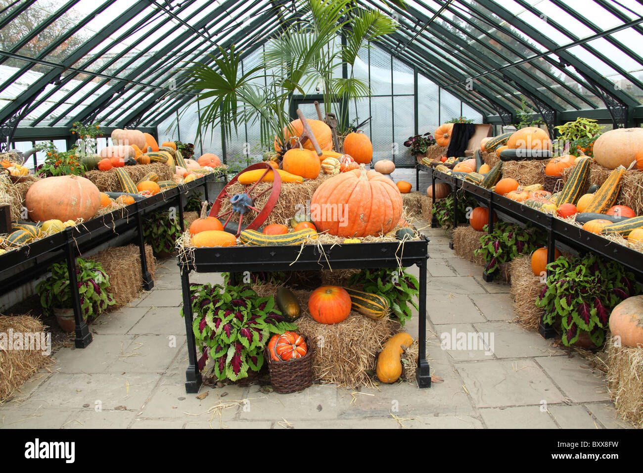 Tatton park gardens hi-res stock photography and images - Alamy