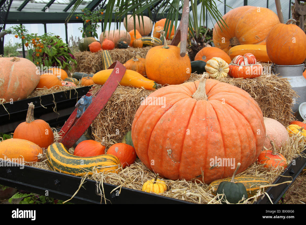 Tatton park gardens hi-res stock photography and images - Alamy