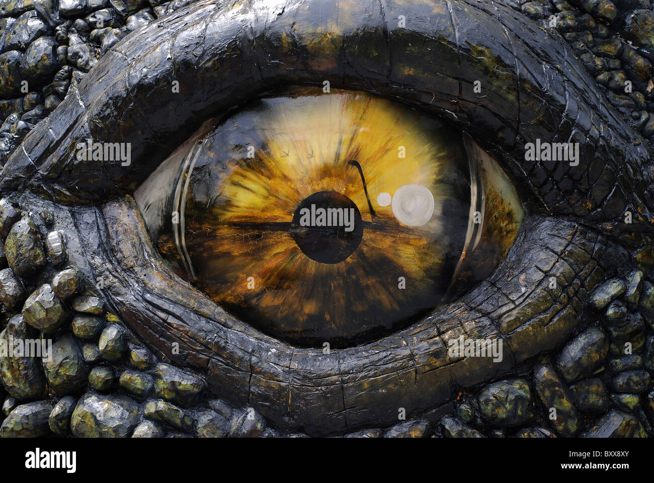 Eye in the wood hi-res stock photography and images - Alamy