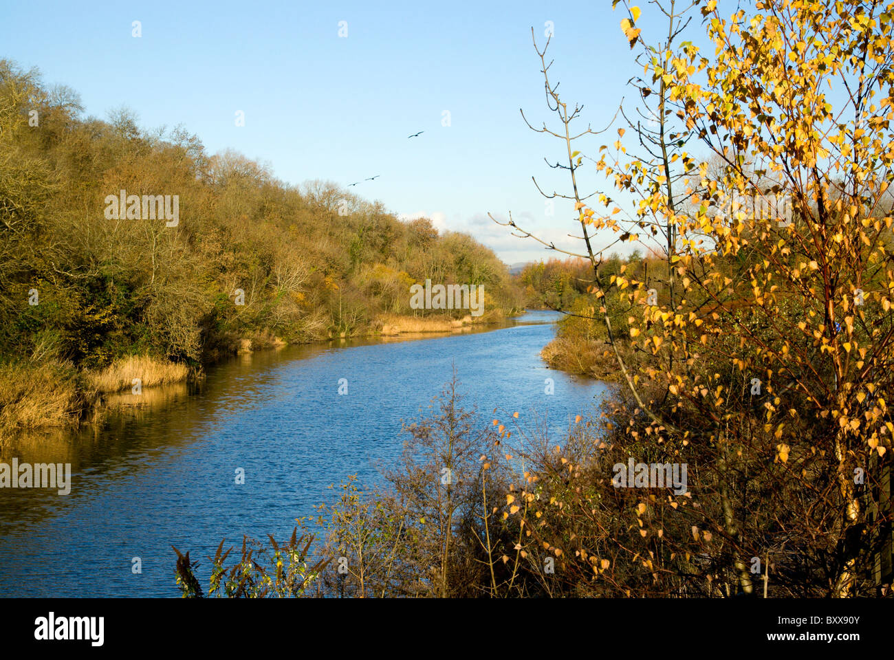 River Ely from the Ely Trail Footpath, Cardiff, South Wales Stock Photo ...
