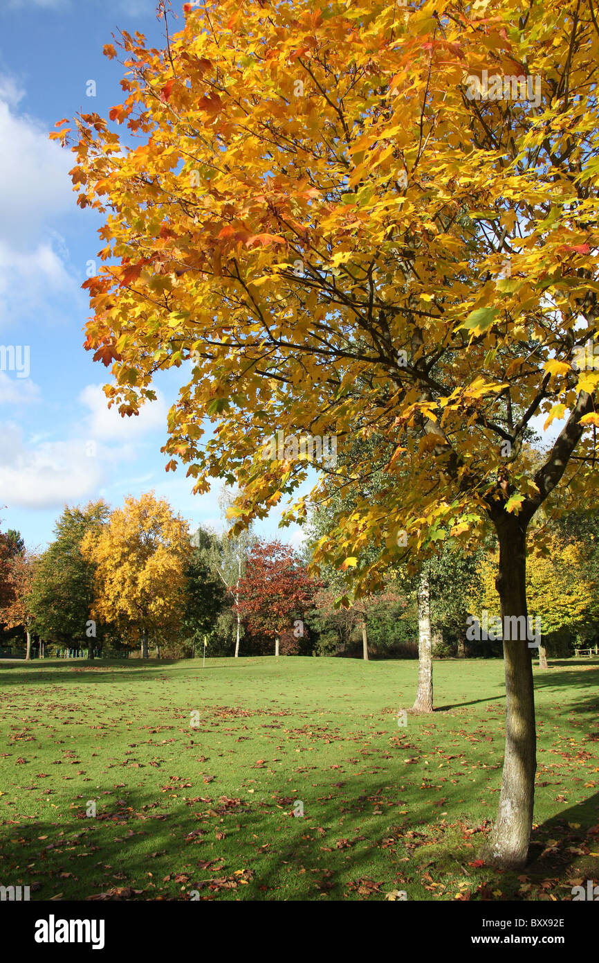 Walton Hall and Gardens. Autumnal view of Walton Hall pitch and putt ...