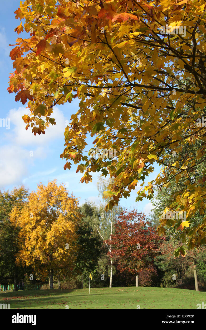 Walton Hall and Gardens. Autumnal view of Walton Hall pitch and putt ...