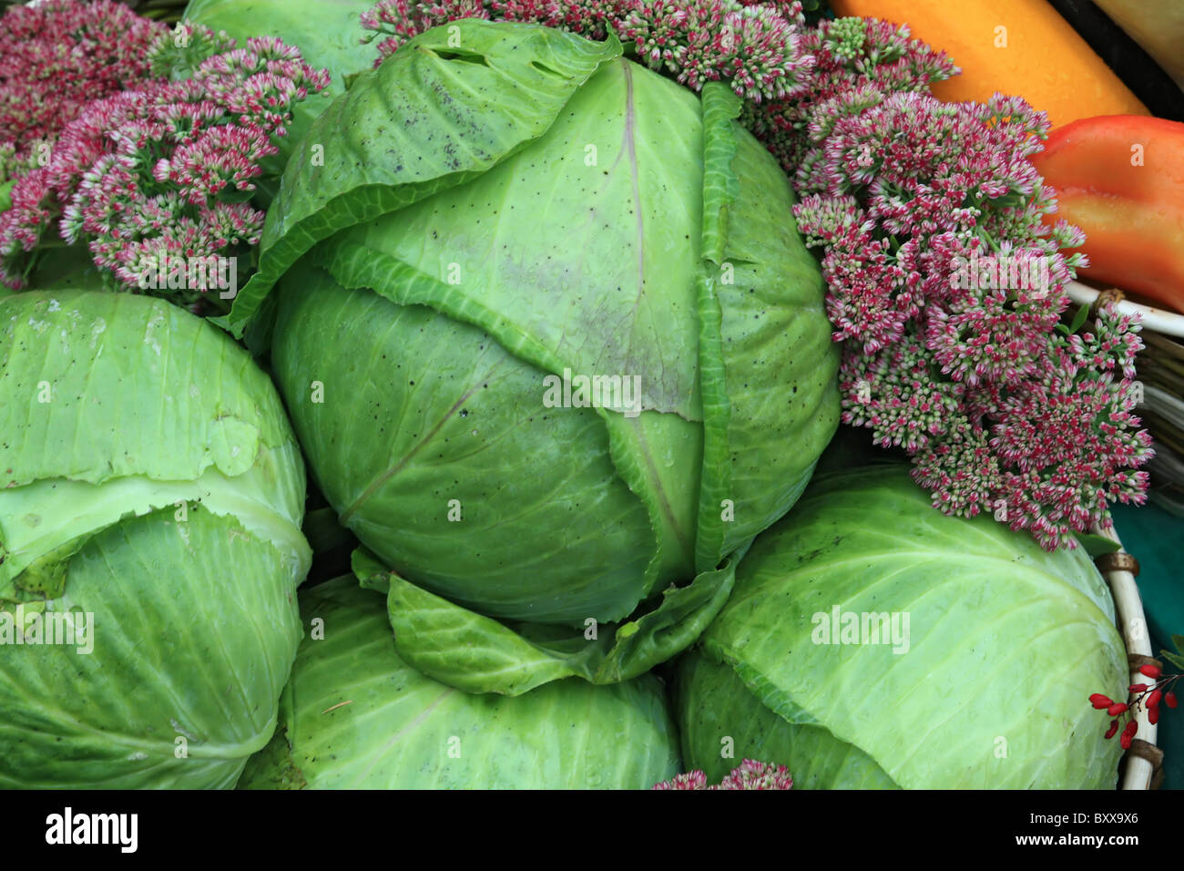 cabbage on rural market Stock Photo - Alamy