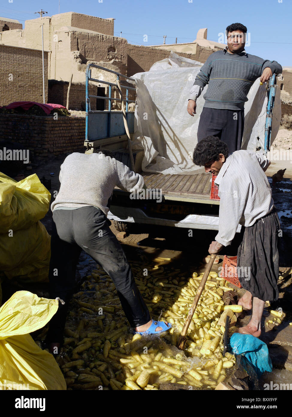 Washing produce hi-res stock photography and images - Alamy