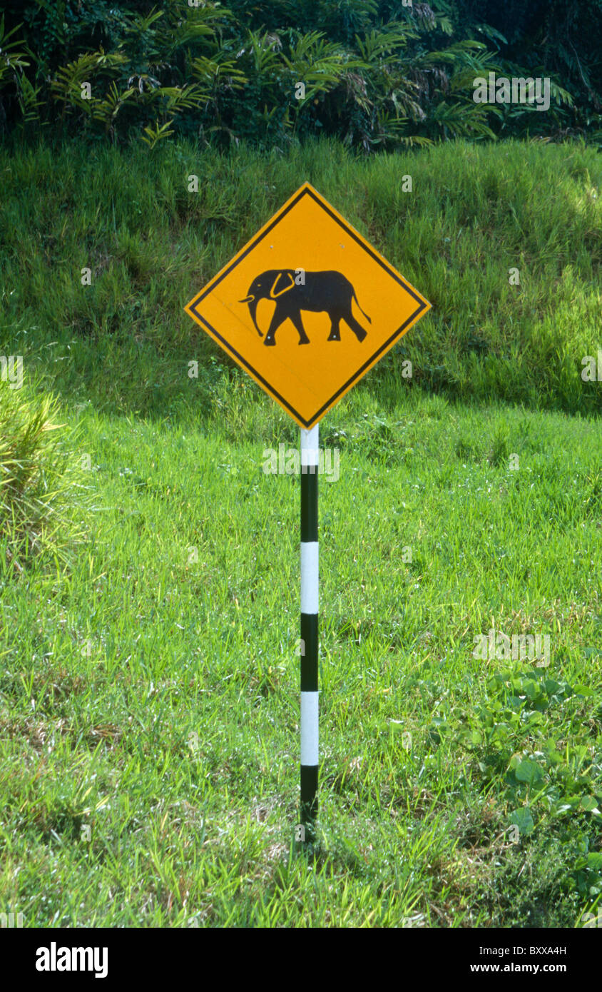 Elephant crossing sign hi-res stock photography and images - Alamy