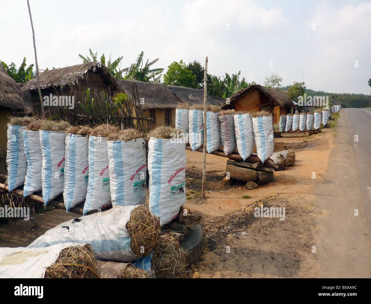 MADAGASCAR Sacks of wheat line the RN2 awaiting buyers. Photo Tony Gale ...