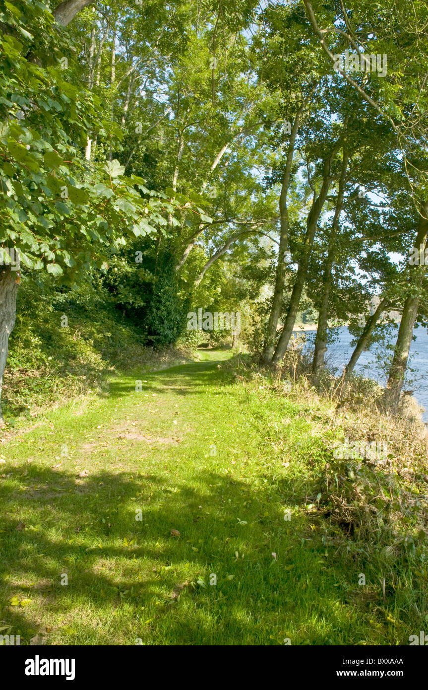 wooded path Paxton Scottish Borders Scotlan Stock Photo - Alamy