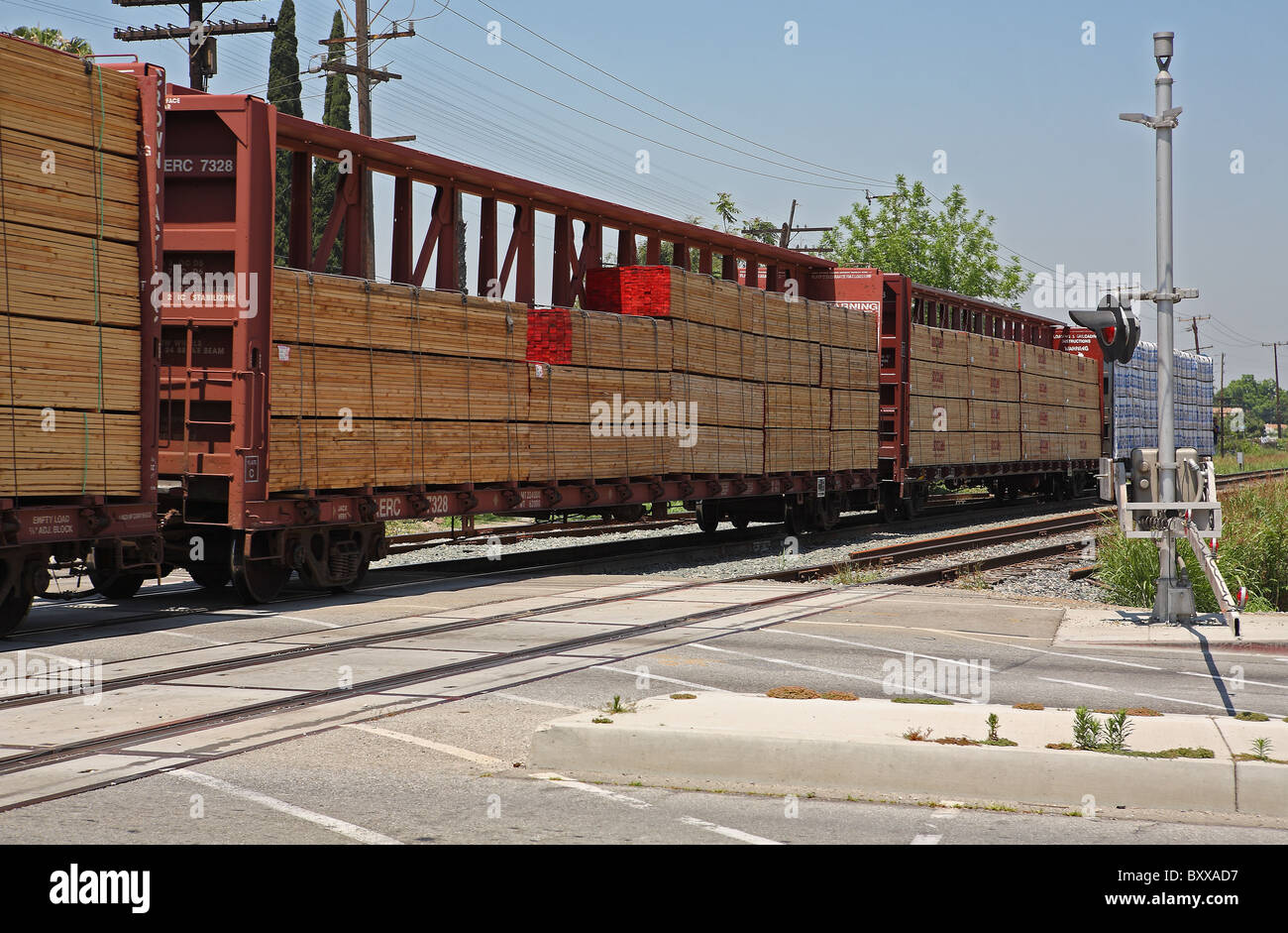 Timber shipment rail train hi-res stock photography and images - Alamy