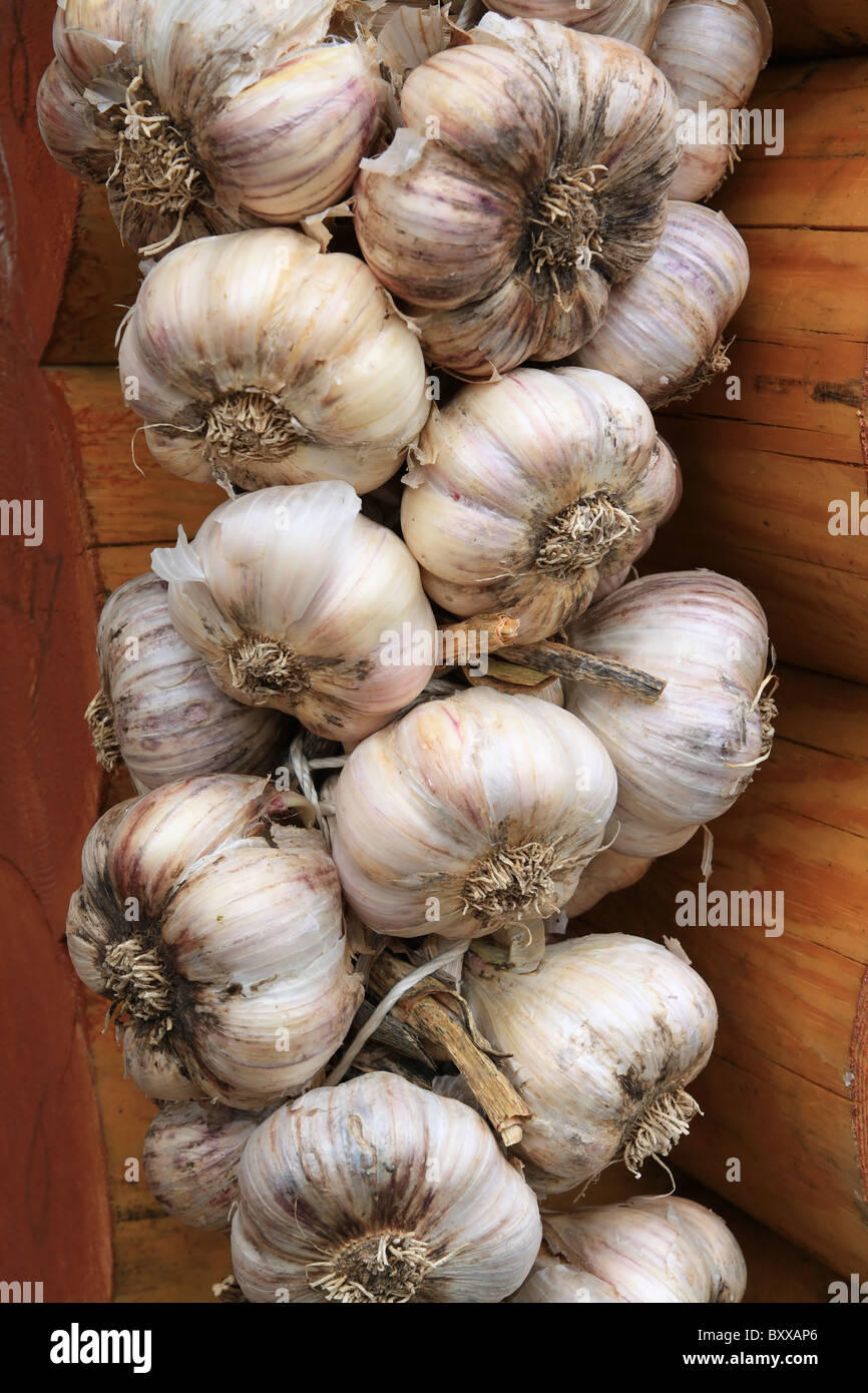Garlic cross section hi-res stock photography and images - Alamy