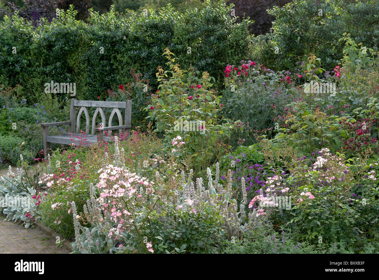 shrub rose garden rhs rosemoor devon Stock Photo - Alamy