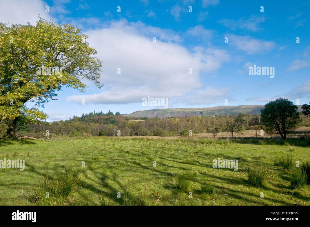 Camspie Hills Strathblane from Mugdock Stirling District Scotland Stock ...