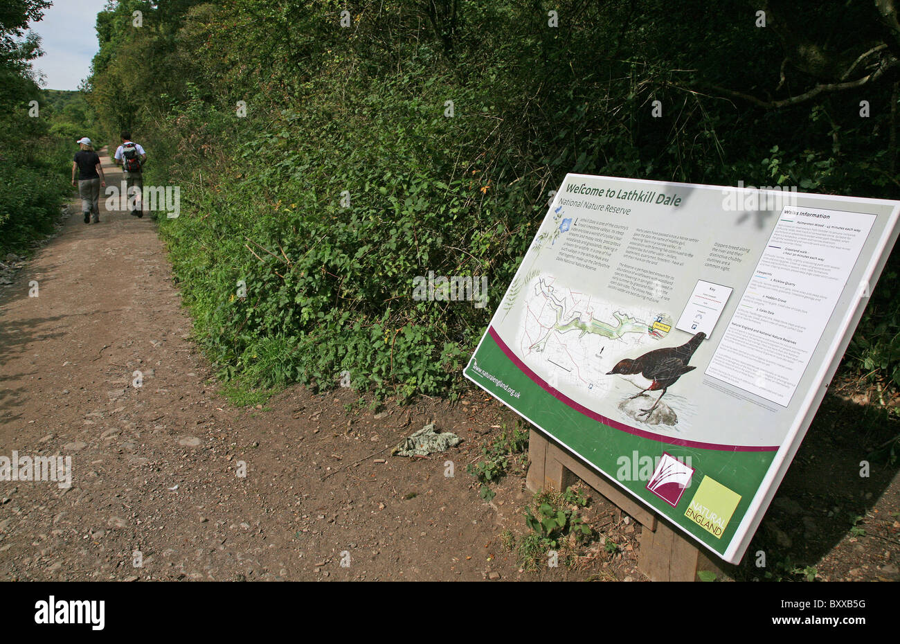 Lathkill Dale Derbyshire Peak District High Resolution Stock ...