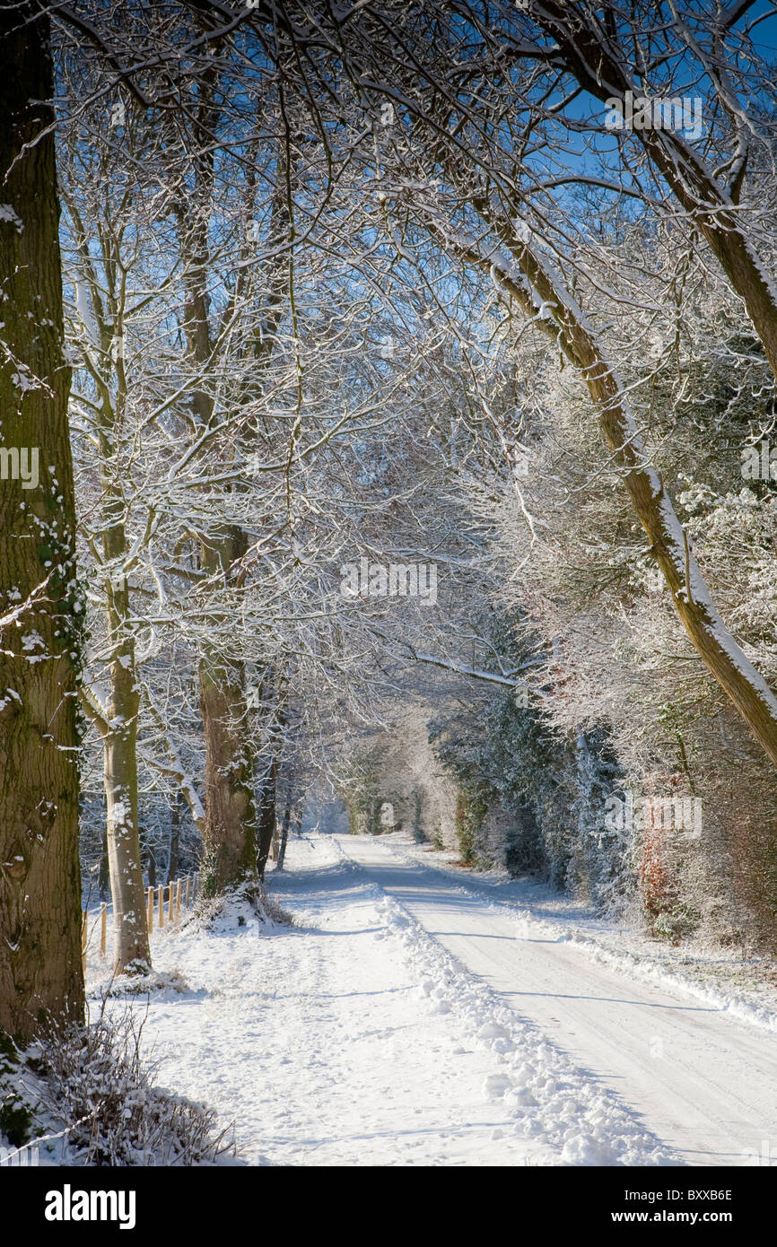 Winter scene at Bowood, Wiltshire, England Stock Photo - Alamy