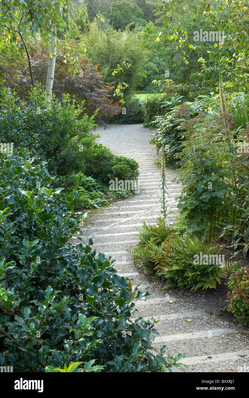 Shade garden hi-res stock photography and images - Alamy