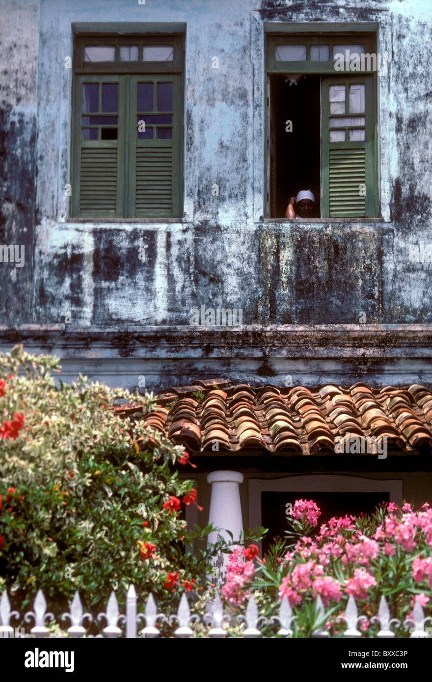 1, one, Brazilian woman, sitting by window, at home, Salvador da Bahia ...