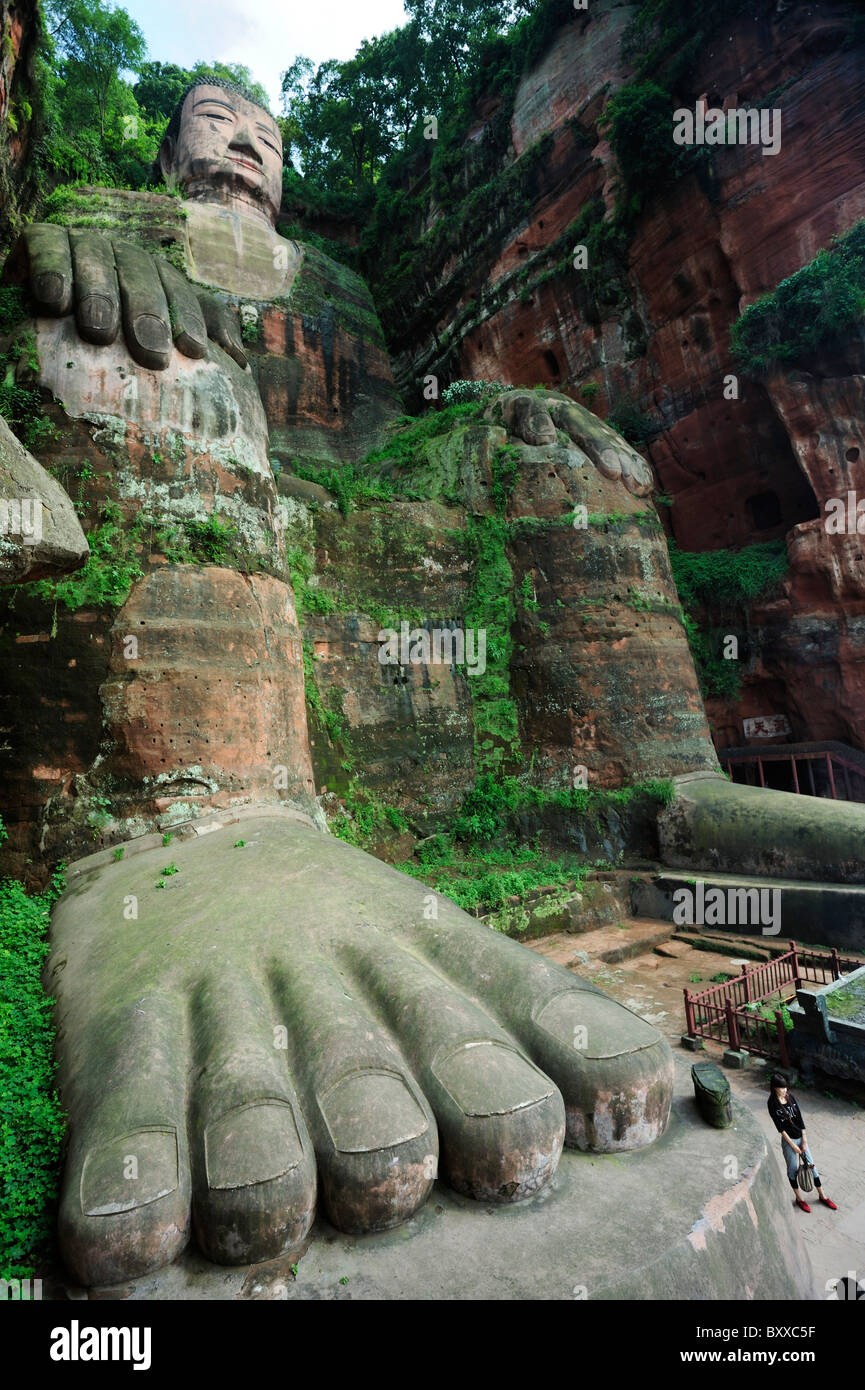 Dafo hi-res stock photography and images - Alamy