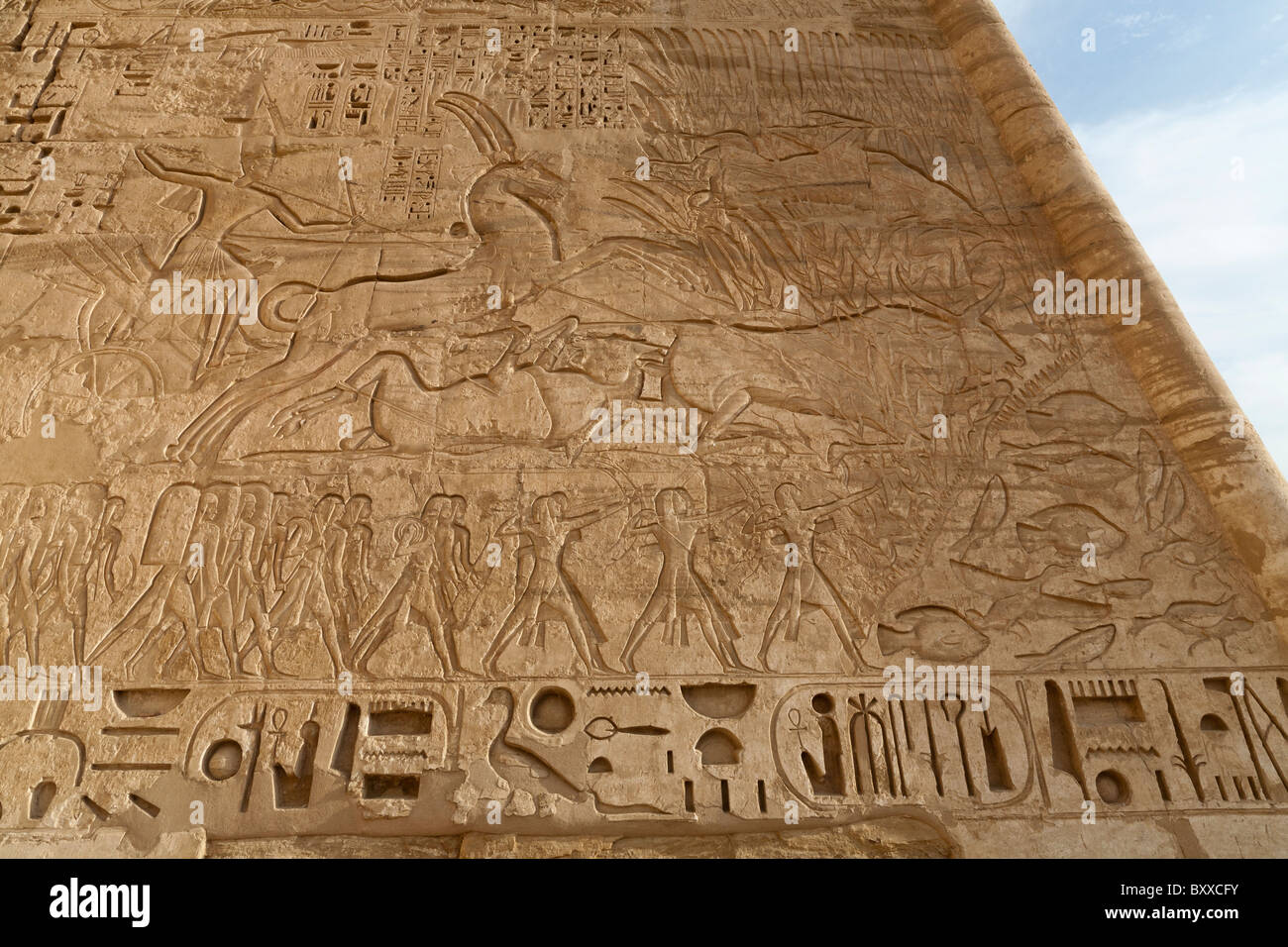 Bull protectors hi-res stock photography and images - Alamy