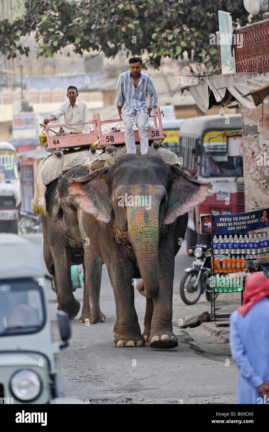 Colorfully decorated elephant, Amber Fort, Jaipur, India Stock Photo ...
