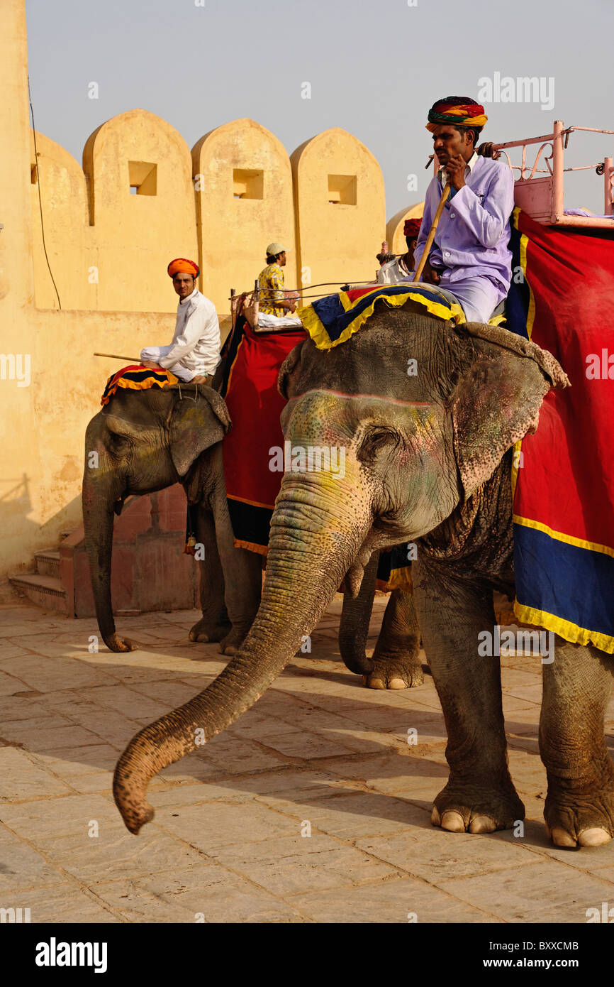 Elephant driver at Amber Fort, Jaipur, India Stock Photo - Alamy