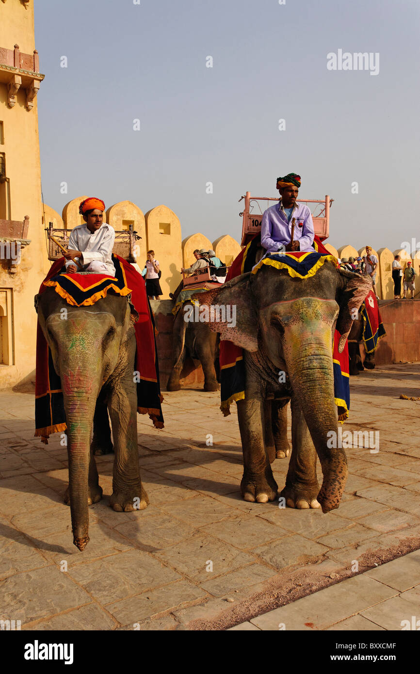 Driving elephant hi-res stock photography and images - Alamy