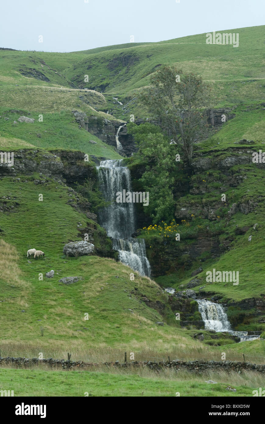 Waterfall in the north Yorkshire Dales, UK Stock Photo - Alamy
