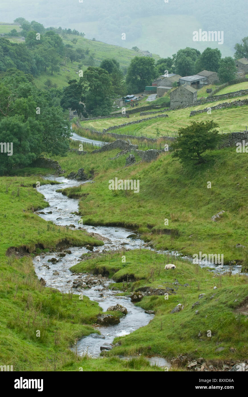 Stream running through the North Yorkshire Dales, UK Stock Photo - Alamy