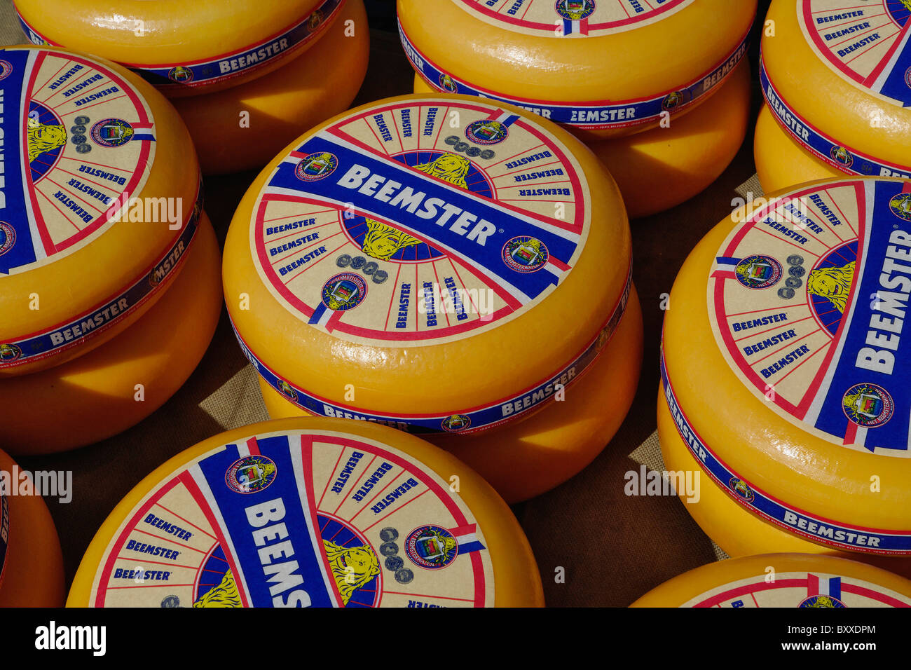 Cheese at the Alkmaar Cheese Market, Alkmaa, Netherlands, Holland Stock ...