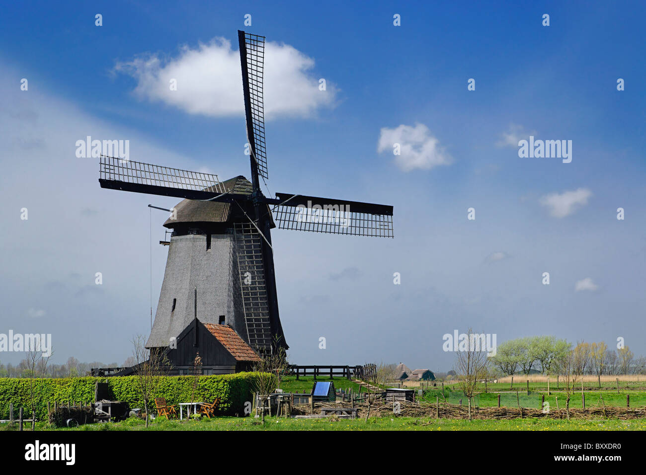 Windmill near Volendam, Netherlands, Holland Stock Photo - Alamy