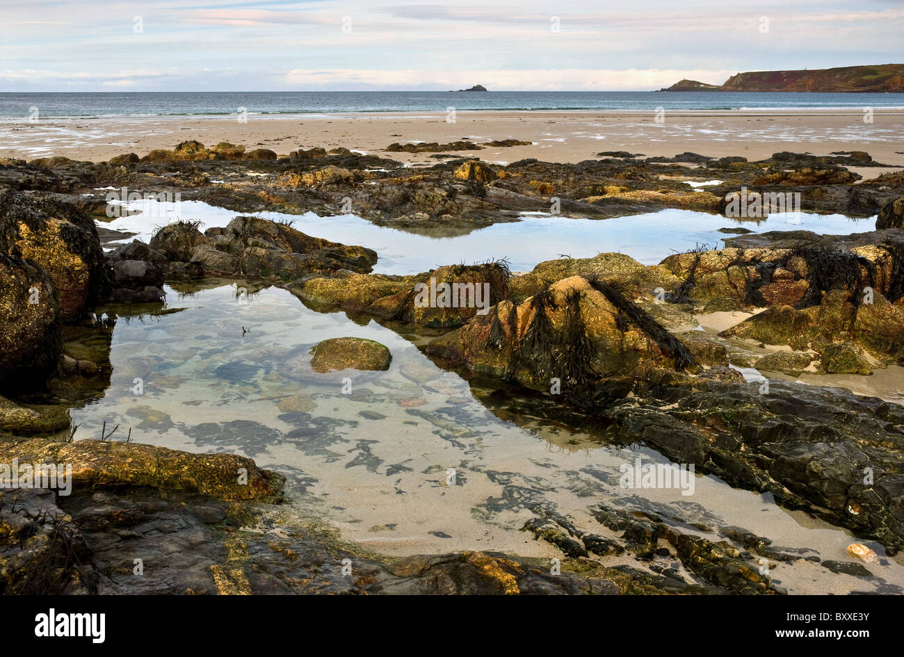 Rock pools at low tide on Sennen Beach in Cornwall Stock Photo - Alamy