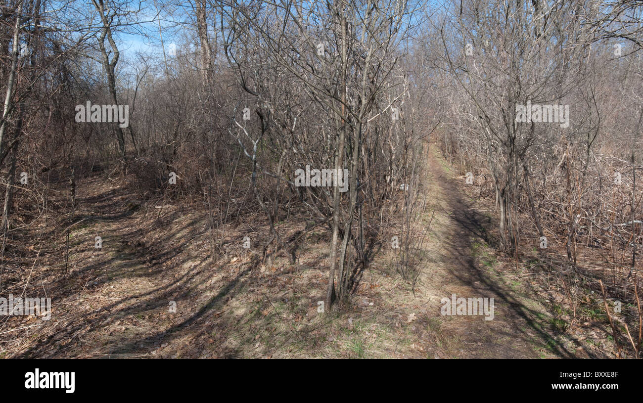 Two paths hi-res stock photography and images - Alamy