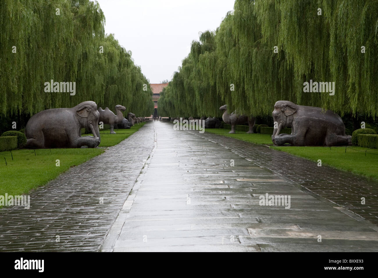 Chinese ancient elephant sculptures hi-res stock photography and images ...