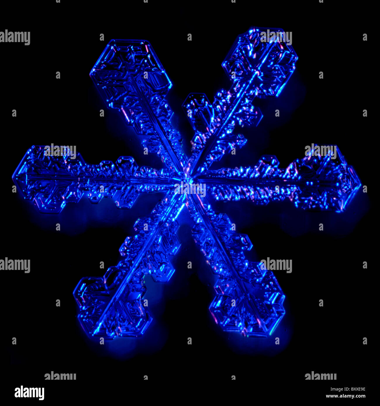 Real snow crystal hi-res stock photography and images - Alamy