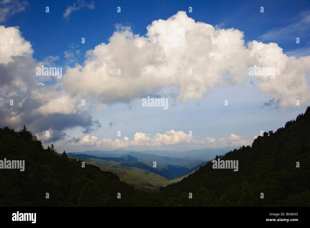 View from just below Newfound Gap, Great Smoky Mountains National Park ...