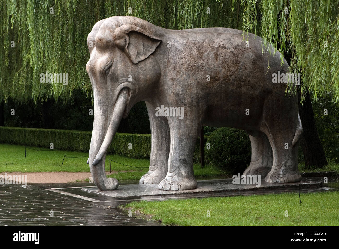 Chinese Elephant
