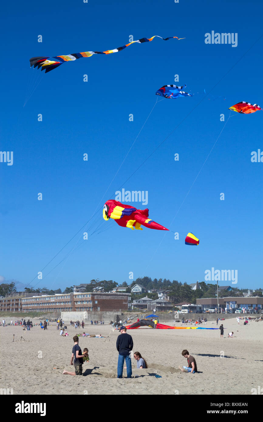 People Flying Kites