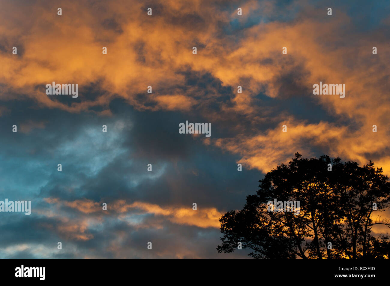 Sunset in Canada Stock Photo - Alamy