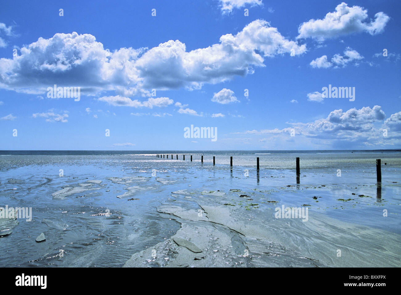 Tyrella Beach and Dune Conservation Area, Dundrum Bay Stock Photo - Alamy