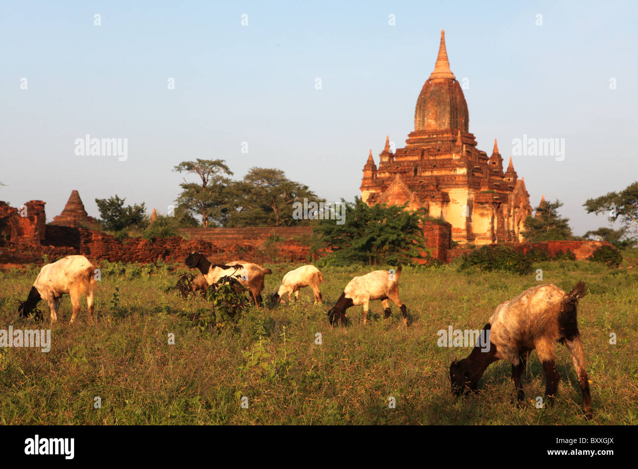 Ornate temple hi-res stock photography and images - Alamy
