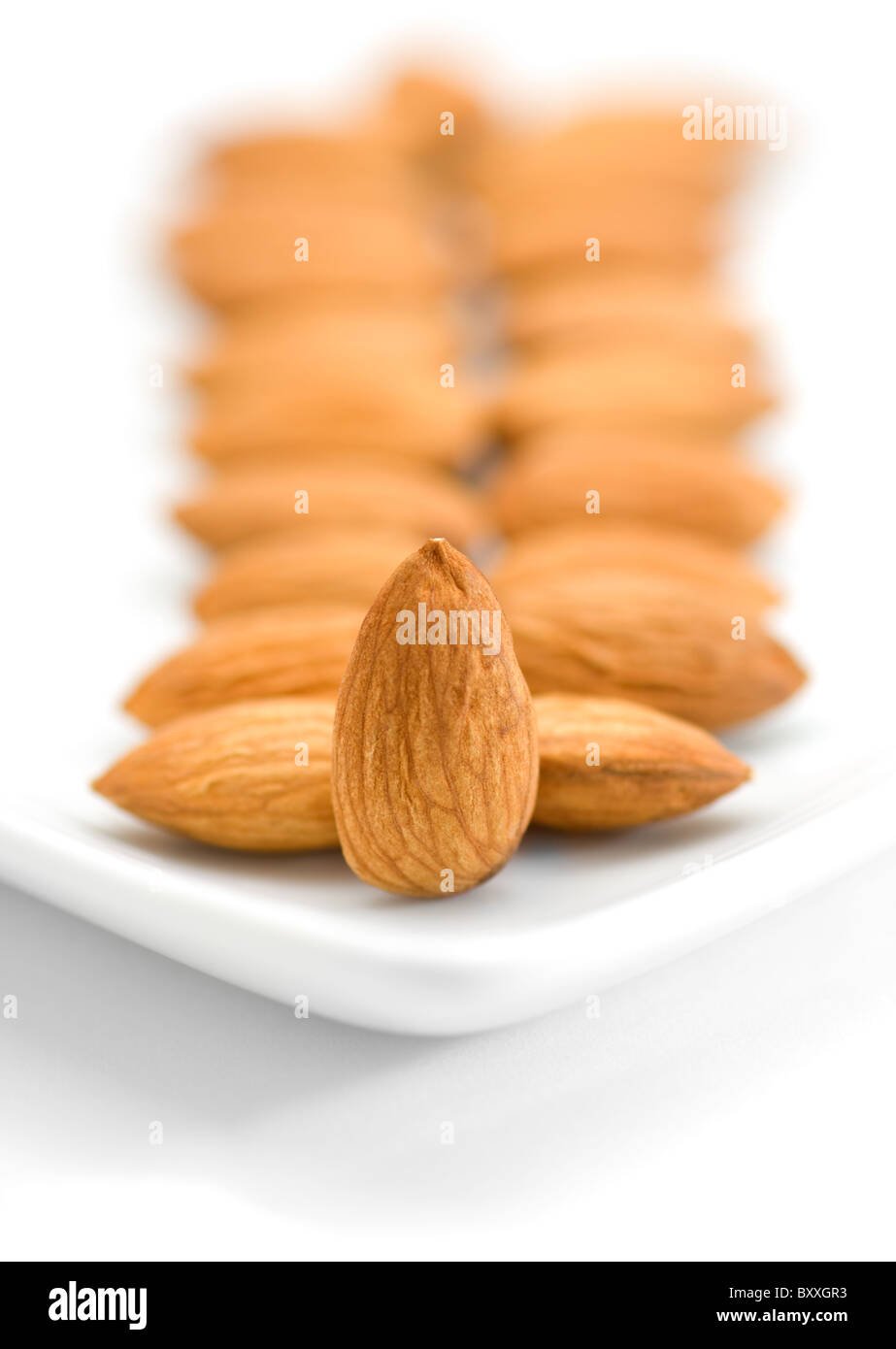A lone almond stands at attention in front of a row of other almonds on ...