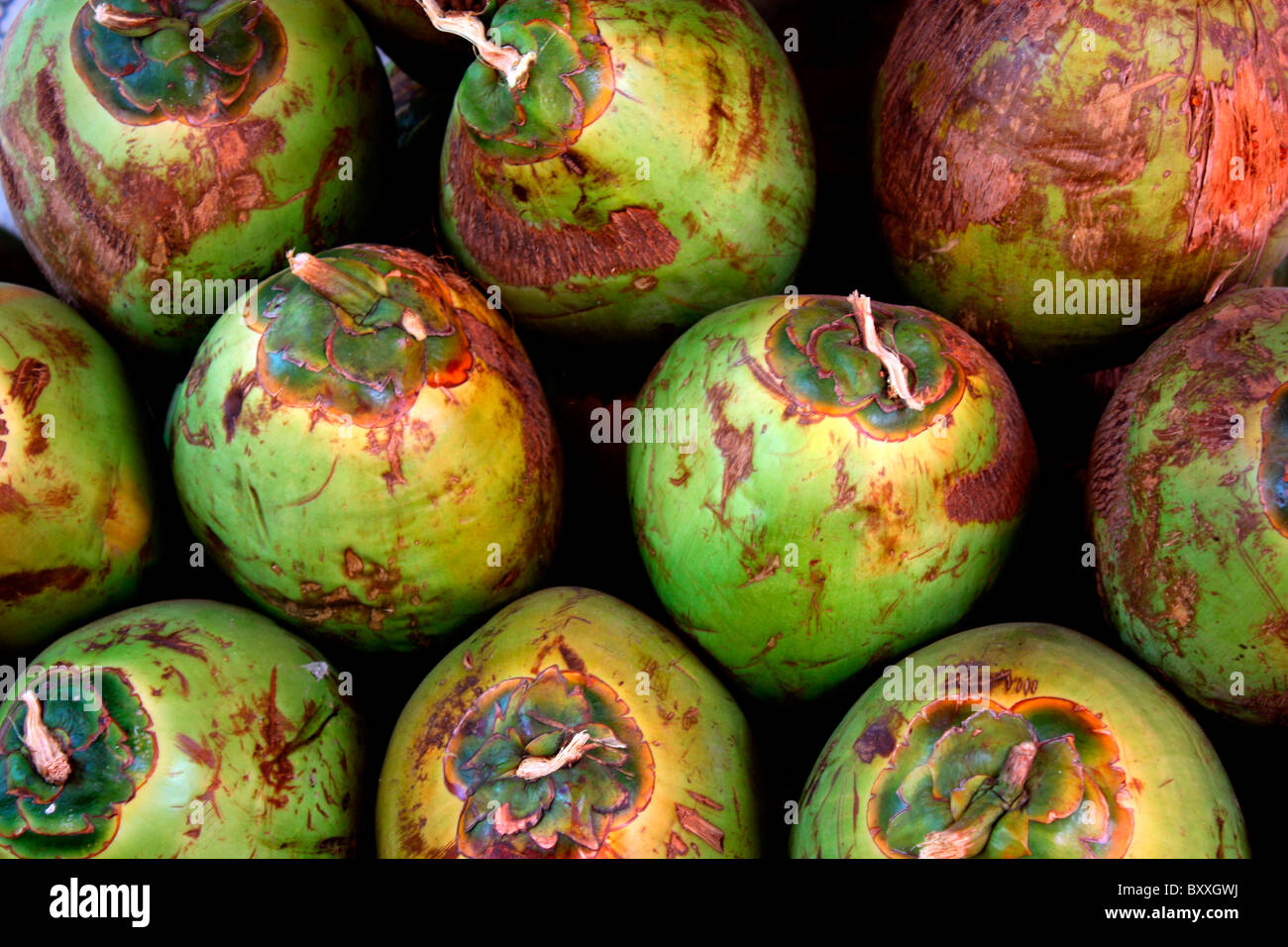 Water coconuts hi-res stock photography and images - Alamy
