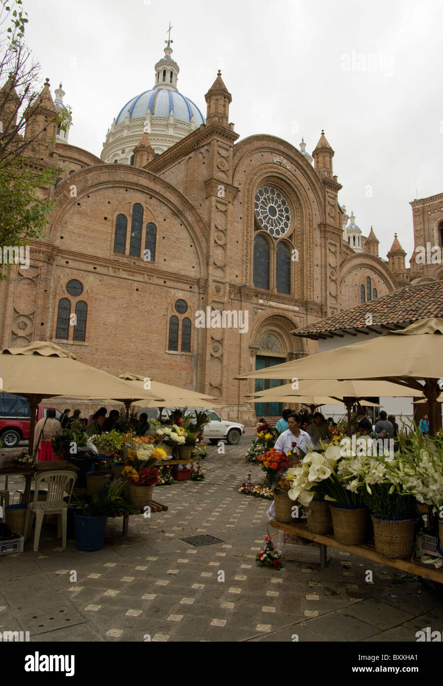 Cuenca ecuador flower hi-res stock photography and images - Alamy