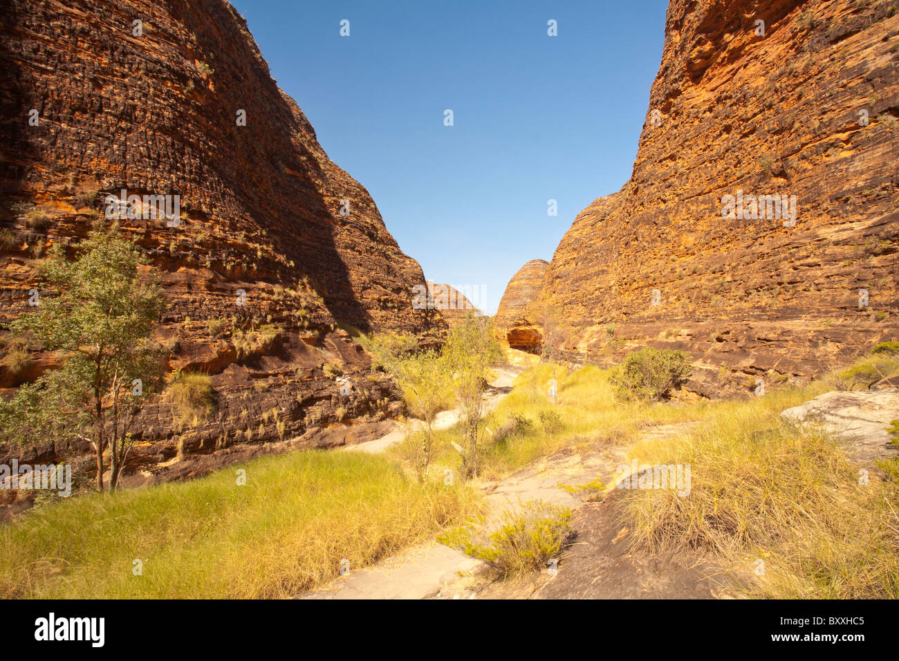 Conical rock formations at the Bungle Bungles, Purnululu National Park ...