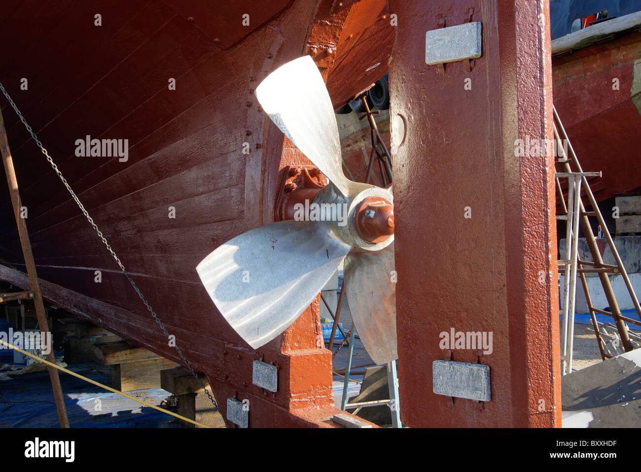 Pilgrim nut hi-res stock photography and images - Alamy