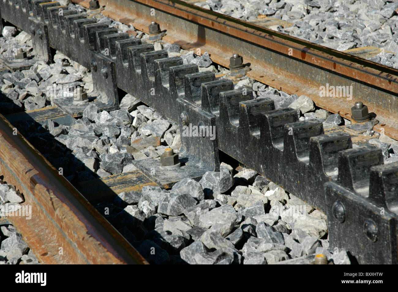 Cog mountain railway track (system Strub), Bernese Oberland ...
