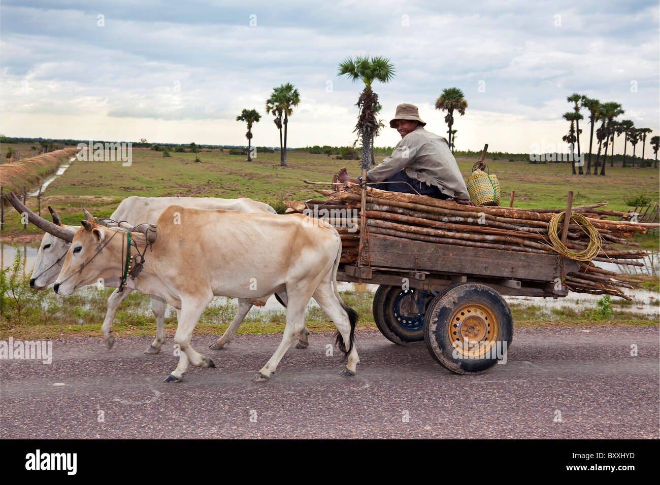 Farming in Cambodia Stock Photo - Alamy