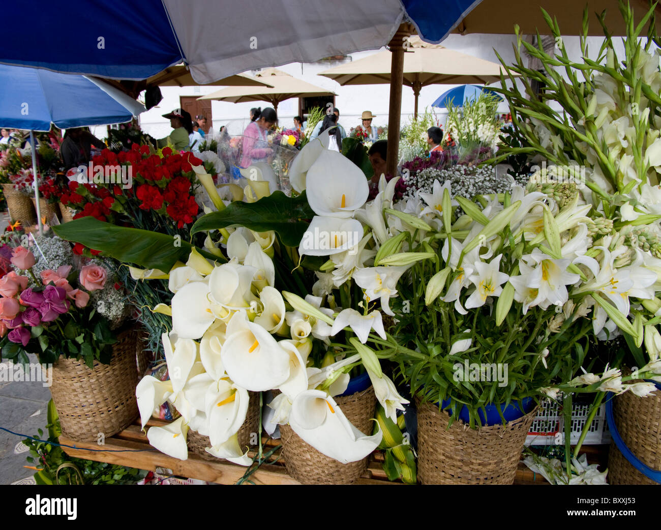 Ecuador. Cuenca city. Flowers square Stock Photo - Alamy