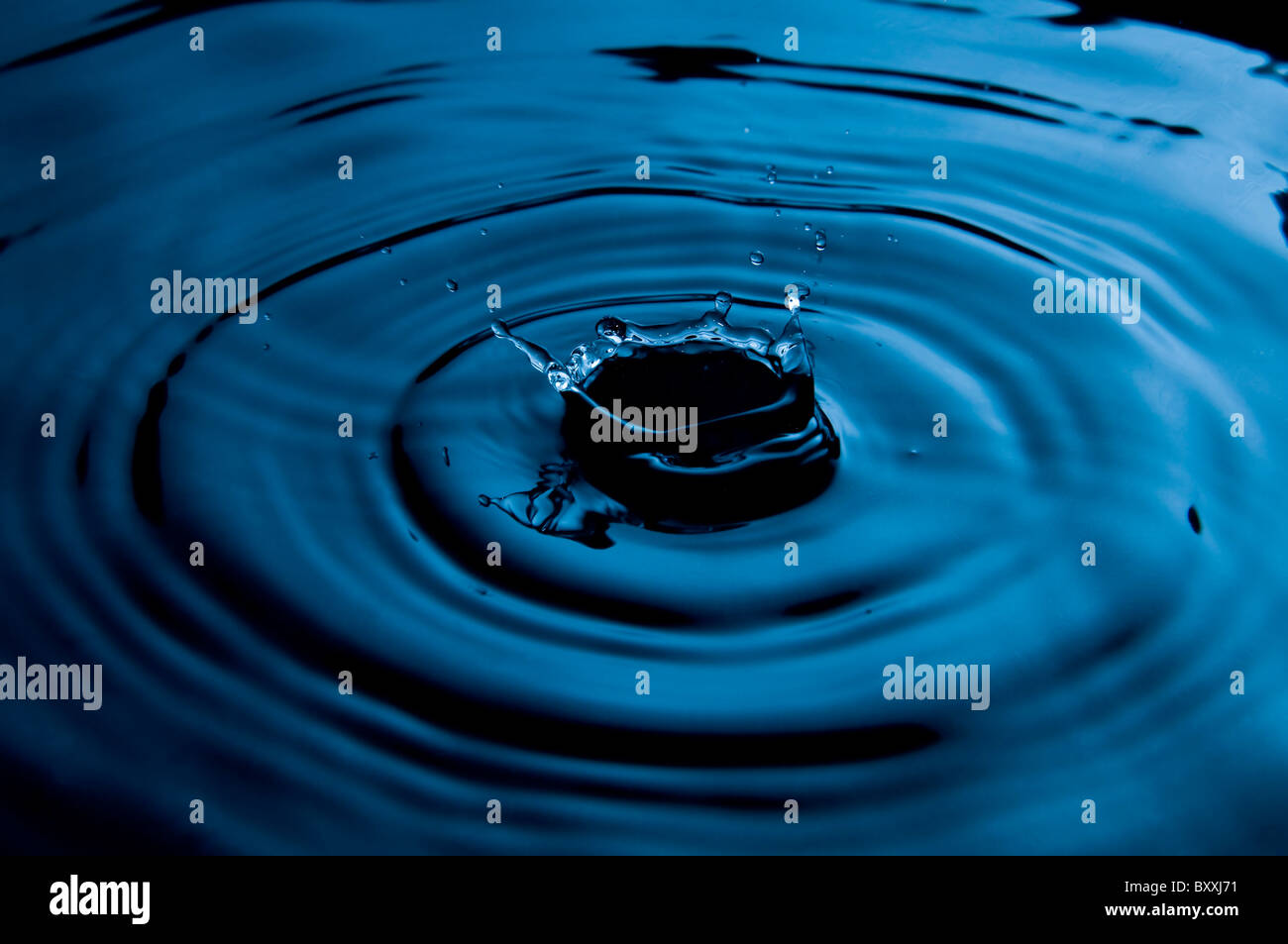 a drop of water Stock Photo - Alamy
